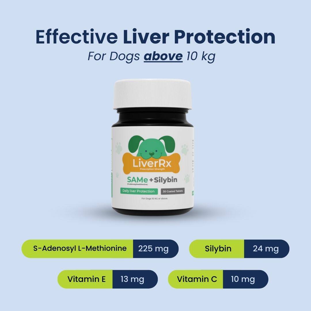 LiverRx™ 225mg Liver Supplement Formulated Dogs >10kg / Pharmaceutical ...