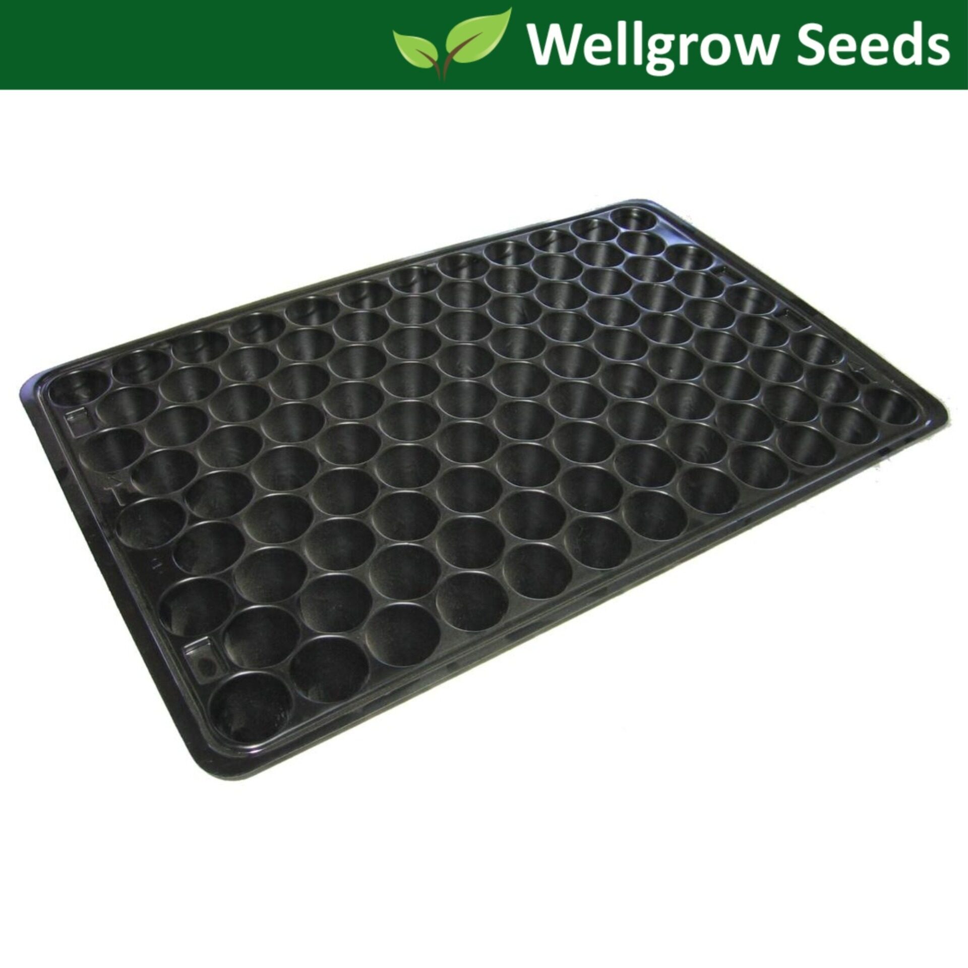 Seedling Tray 104 Holes Bundle Pack 5pcs Lazada