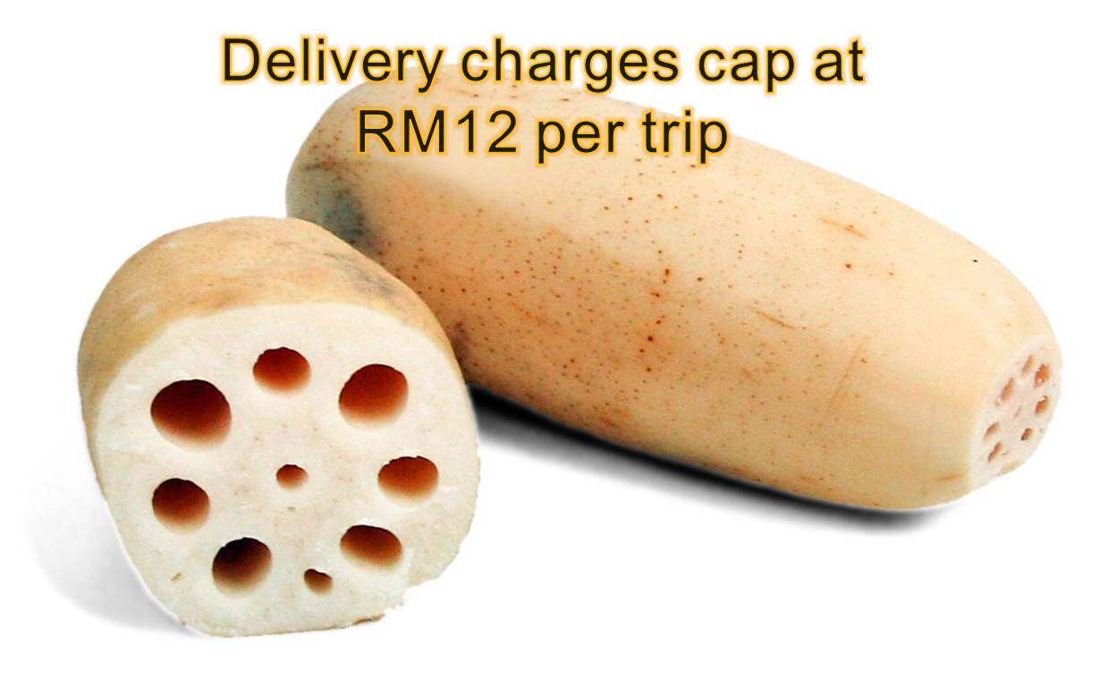 VEGETABLES - Lotus Root/ Akar Teratai 500g | Lazada