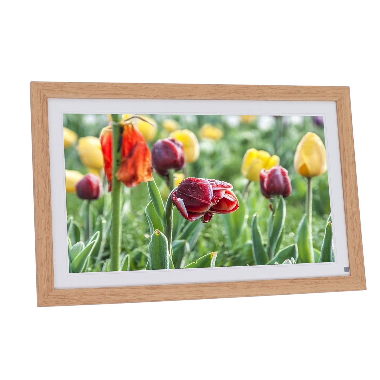 15.6 Inch Digital Photo Frame Smart WIFI Touch Screen Photo Frame for ...