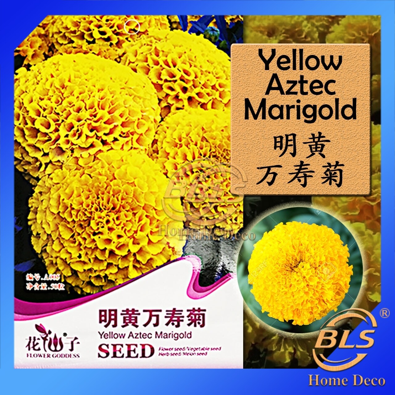 【EXPIRED】BIJI BENIH A005 YELLOW AZTEC MARIGOLD FLOWER GODDESS VEGETABLE ...
