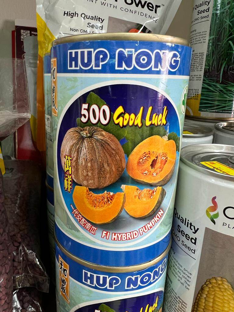 BENIH LABU MANIS 500 F1 HYBRID PUMPKIN SEEDS GOOD LUCK 20g (Repacking ...