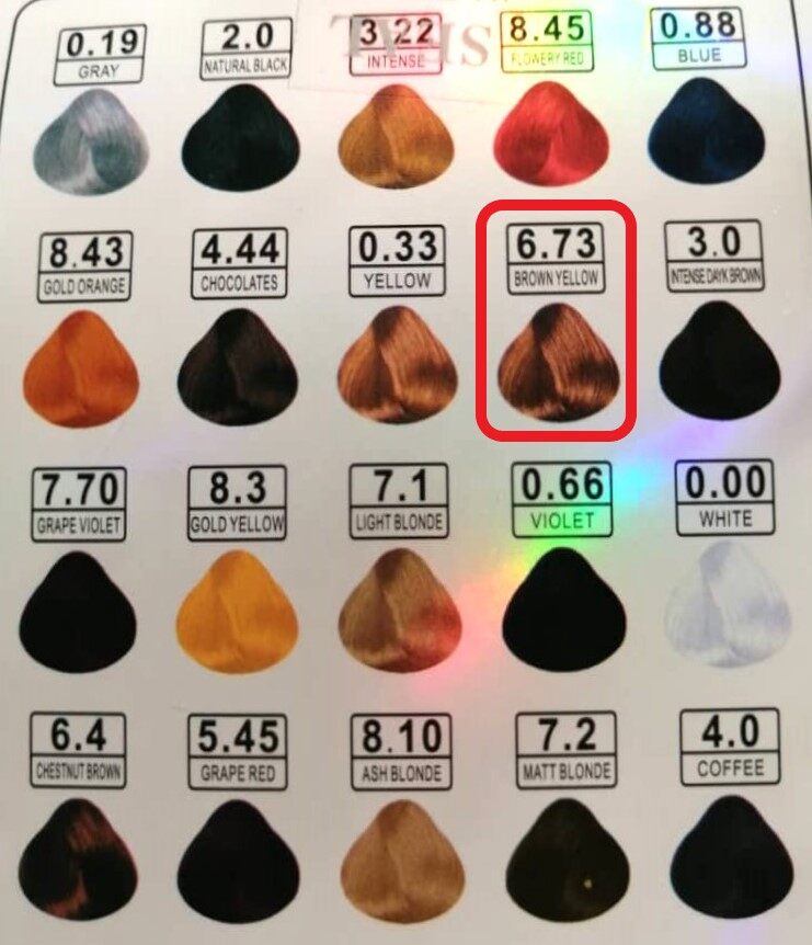 Colo Rista Hair Color Keratin Collagen Hair Coloring | Lazada