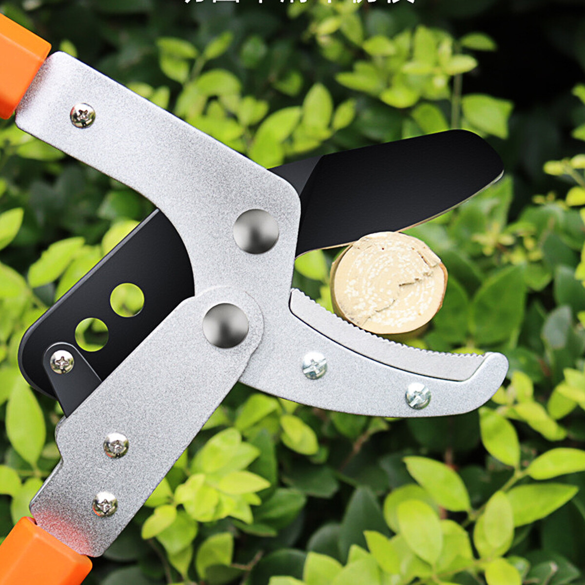 50mm Retractable Pruning Shears Telescopic Ratchet Tree Pruning Shears ...