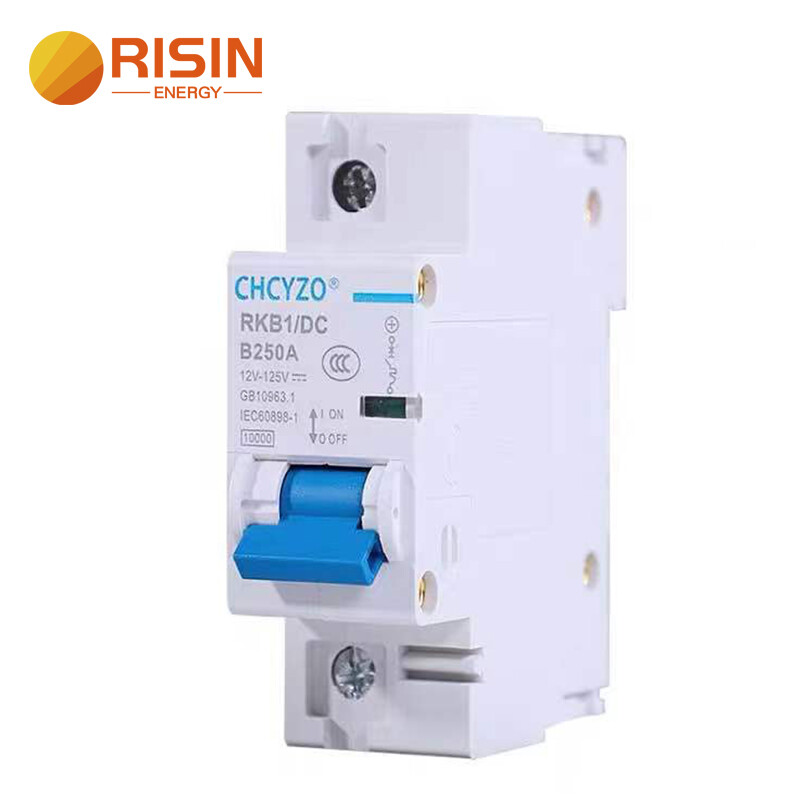 Ready Stocks Risin DC Breaker Electric Car Miniature Circuit Breaker DC ...
