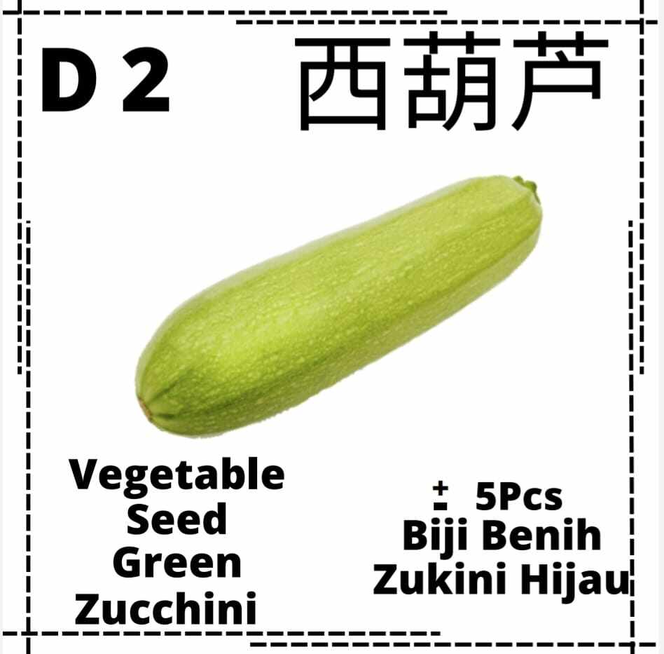 Labu Air/Zukini Zucchini西葫芦种子 Biji Benih Vege Sayur sayuran Vegetable ...