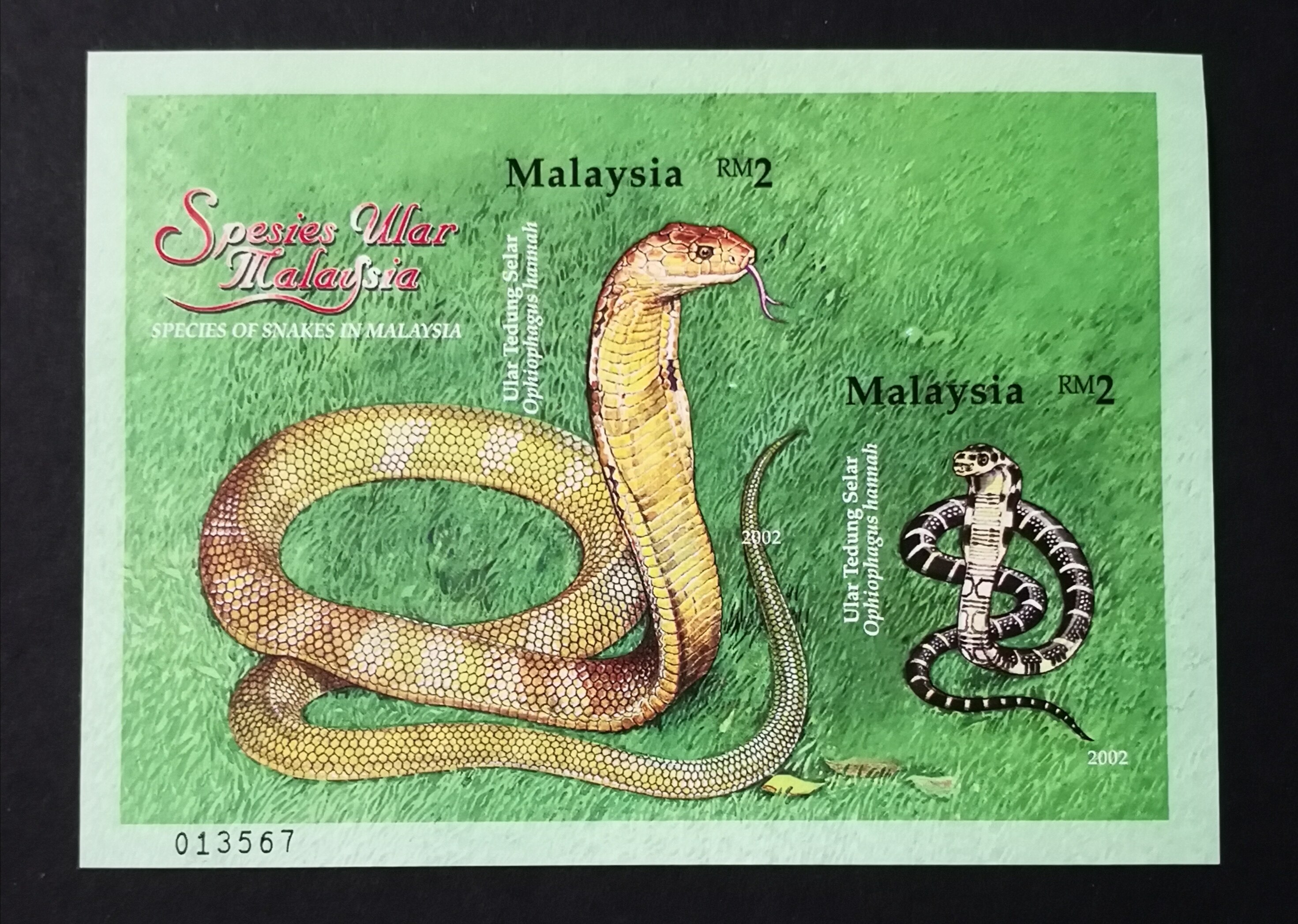 [MSV-0110] 2002 Series Ular Malaysian Snakes MS Miniature stamp | Lazada