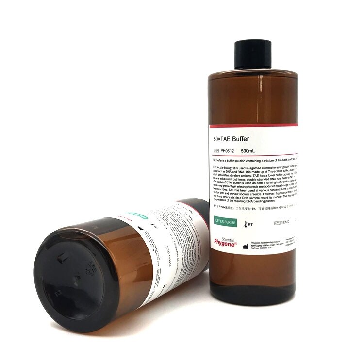 50×TAE Tris Running Buffer 50X TAE Buffer 500mL [PH0612 PHYGENE ... 50×TAE Tris Running Buffer 50X TAE Buffer 500mL [PH0612 PHYGENE ...