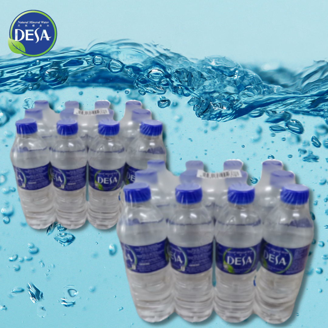 DESA Mineral Water (2 PACKS 500ml x 12 Bottles) | Lazada