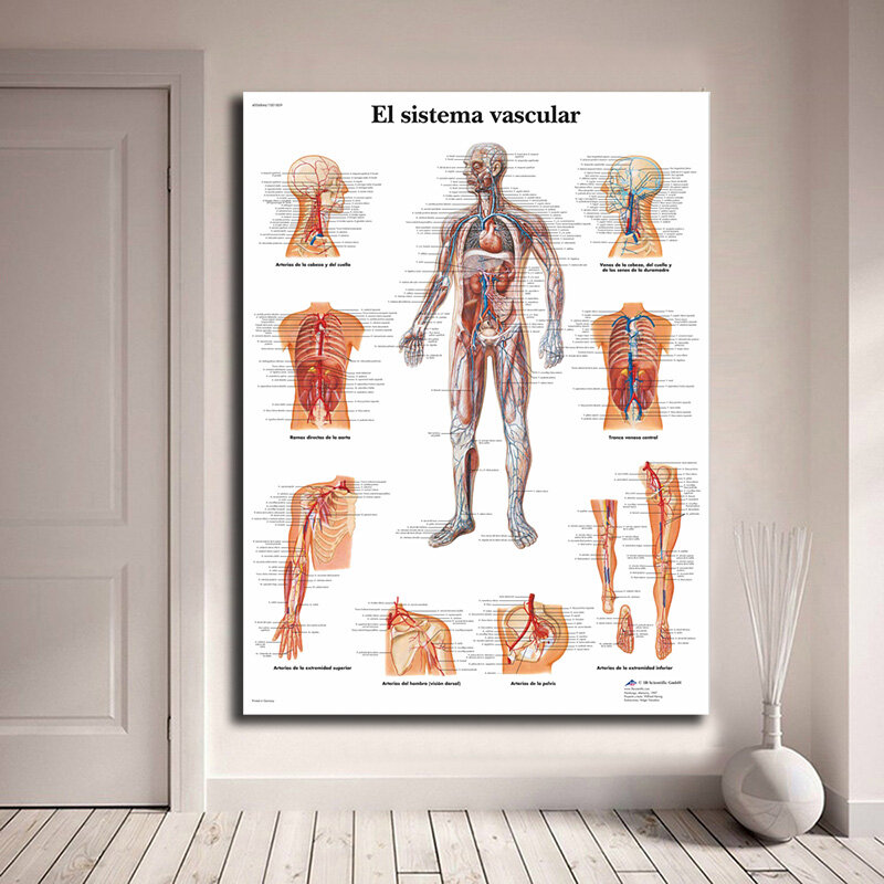 Human Anatomy Muscles System HD Wall Art Canvas Posters Prints Painting ...