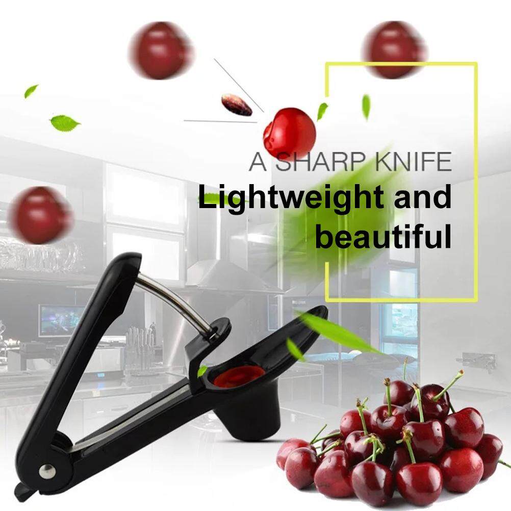 Cherry Pitter Tool Cherry Core Remover Olive Pitter Tool for Kitchen ...