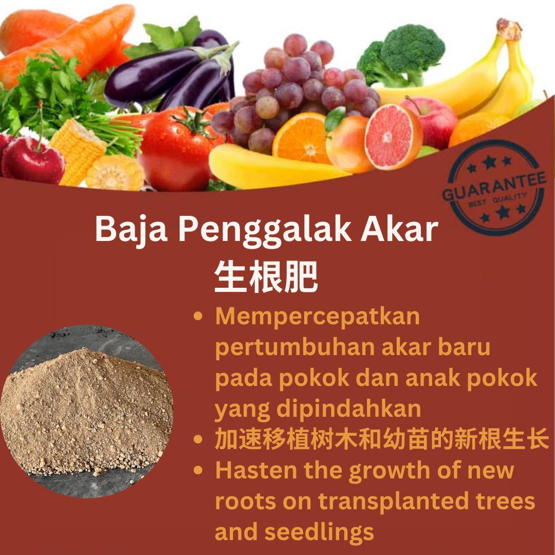 2KG baja penggalak akar | Lazada