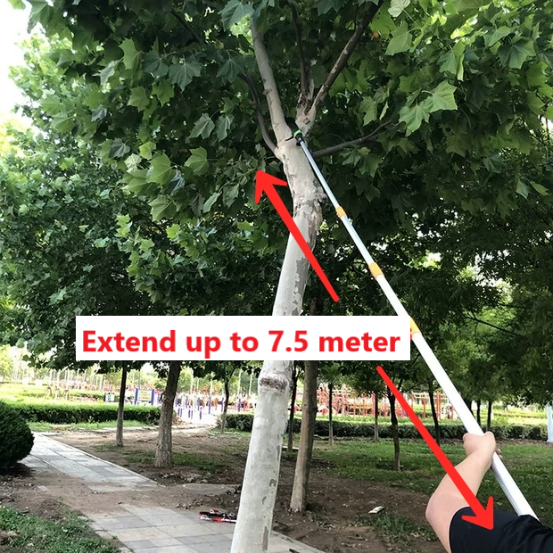 Coconut Picker / Tree Branch Cutter Trimmer with Extension up to 5 m or ...