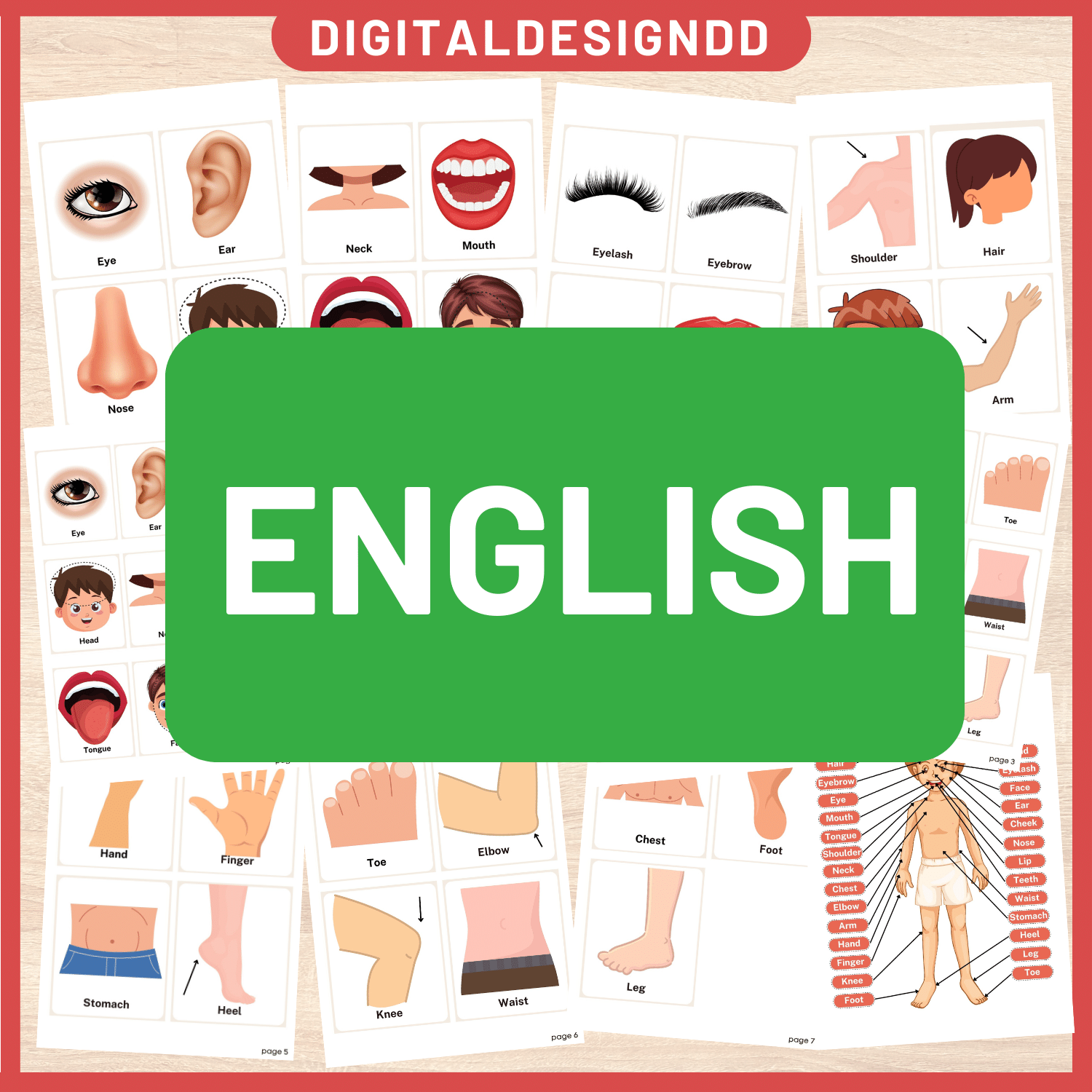 Body Part Digital PDF Flash Cards for baby kids toddler preschool Kad ...