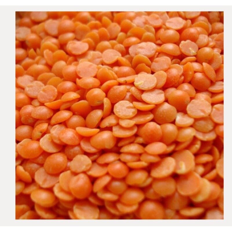 KACANG DHAL MERAH/MASOOR DAL 1kg premium quality best price | Lazada