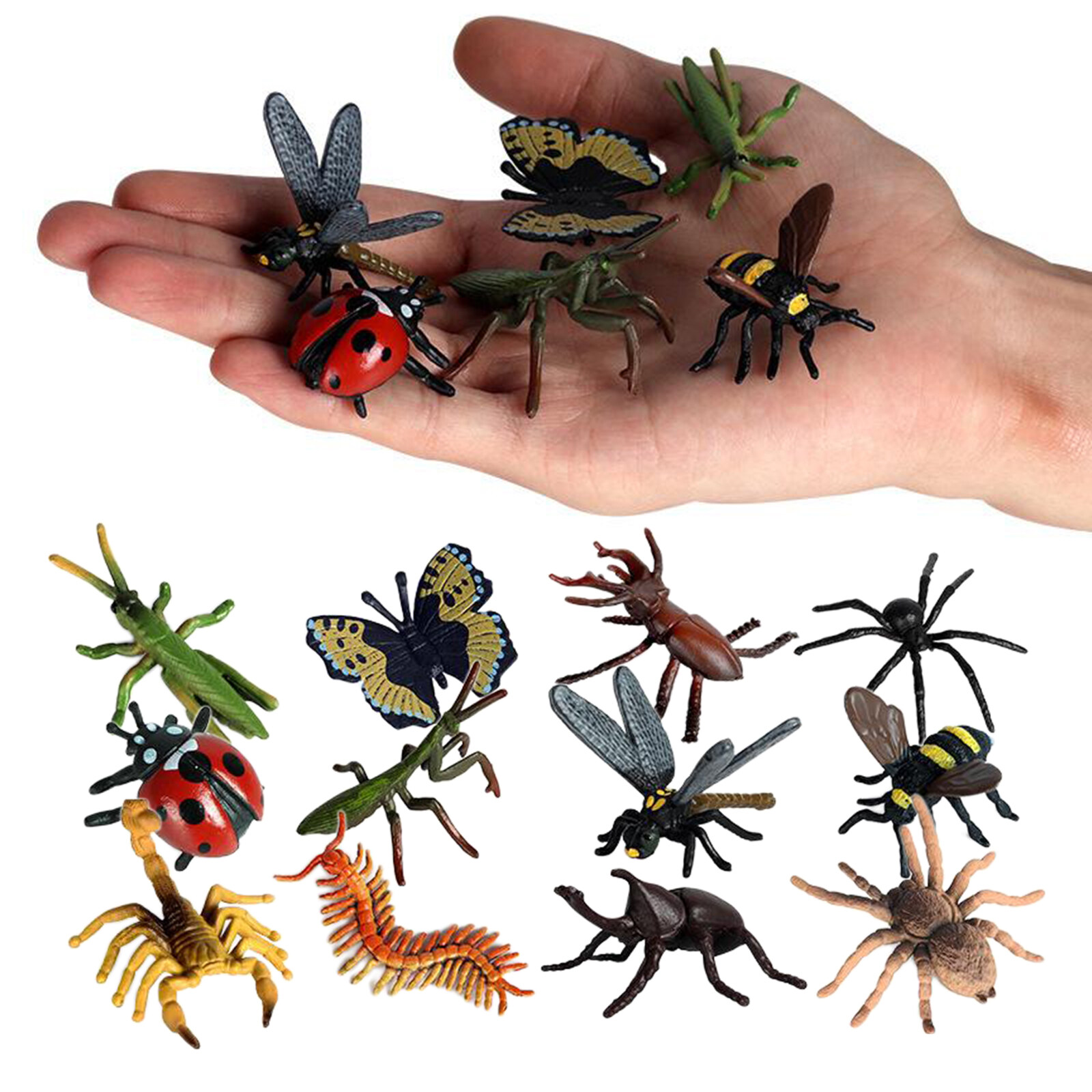 Dolity 6/12PCS Realistic Insects Figures Toys - Plastic Bugs Figurines ...