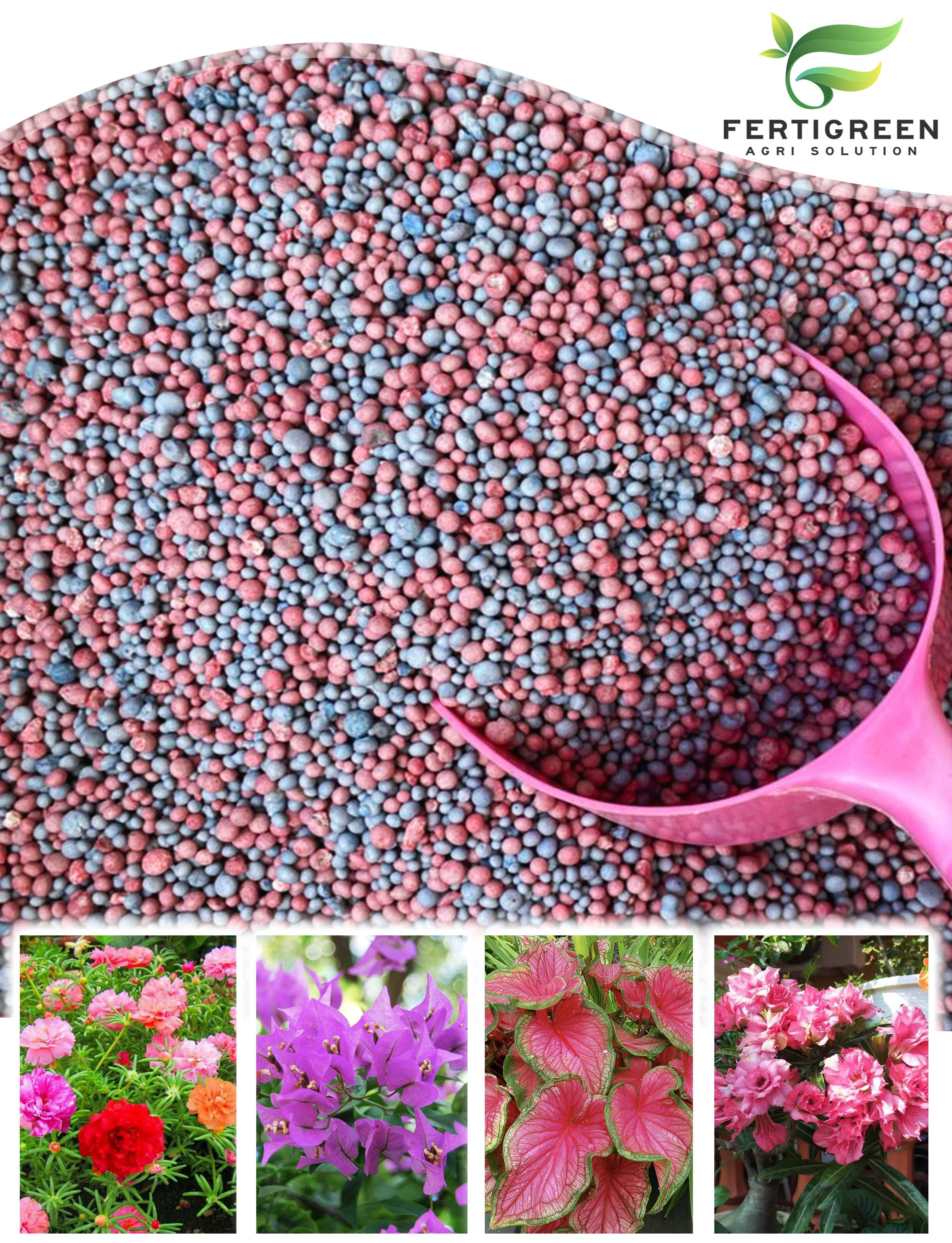 1kg Baja Super Mix / Baja Mix Subur/Bunga/Buah Paksa Gemuk | Lazada