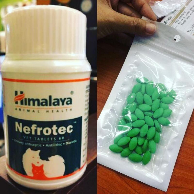 (Repack 1 Biji) Ubat Batu Karang Kucing & Anjing HIMALAYA Nefrotec Cat ...