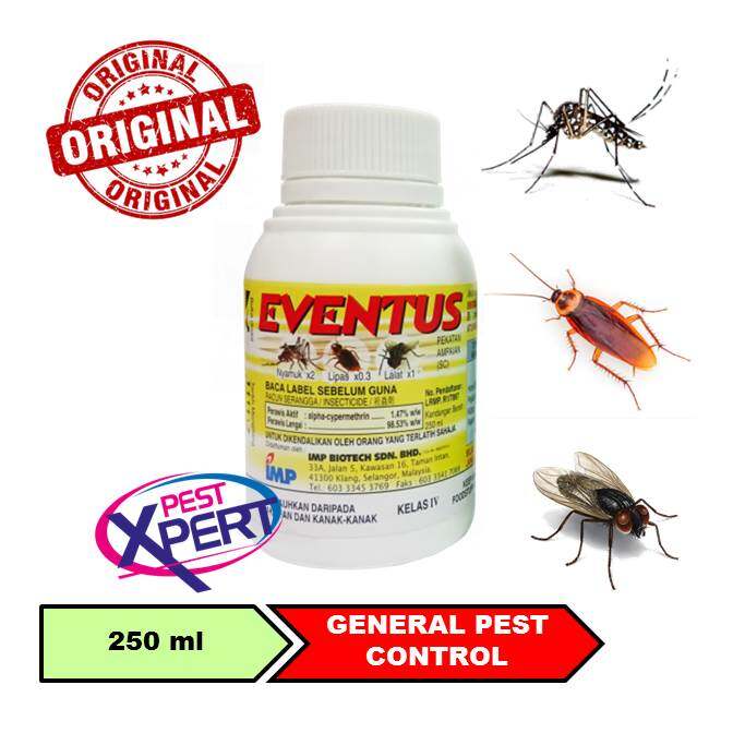 EVENTUS Insecticide Racun Serangga for Cockroach, Ant, Mosquito, Flies ...