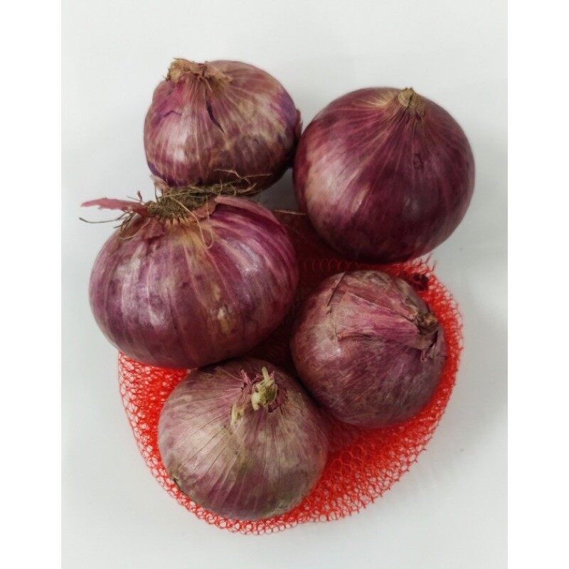 Bawang Merah Besar/Bombay Bungkusan | Big Onion | 大葱 1kg | Lazada