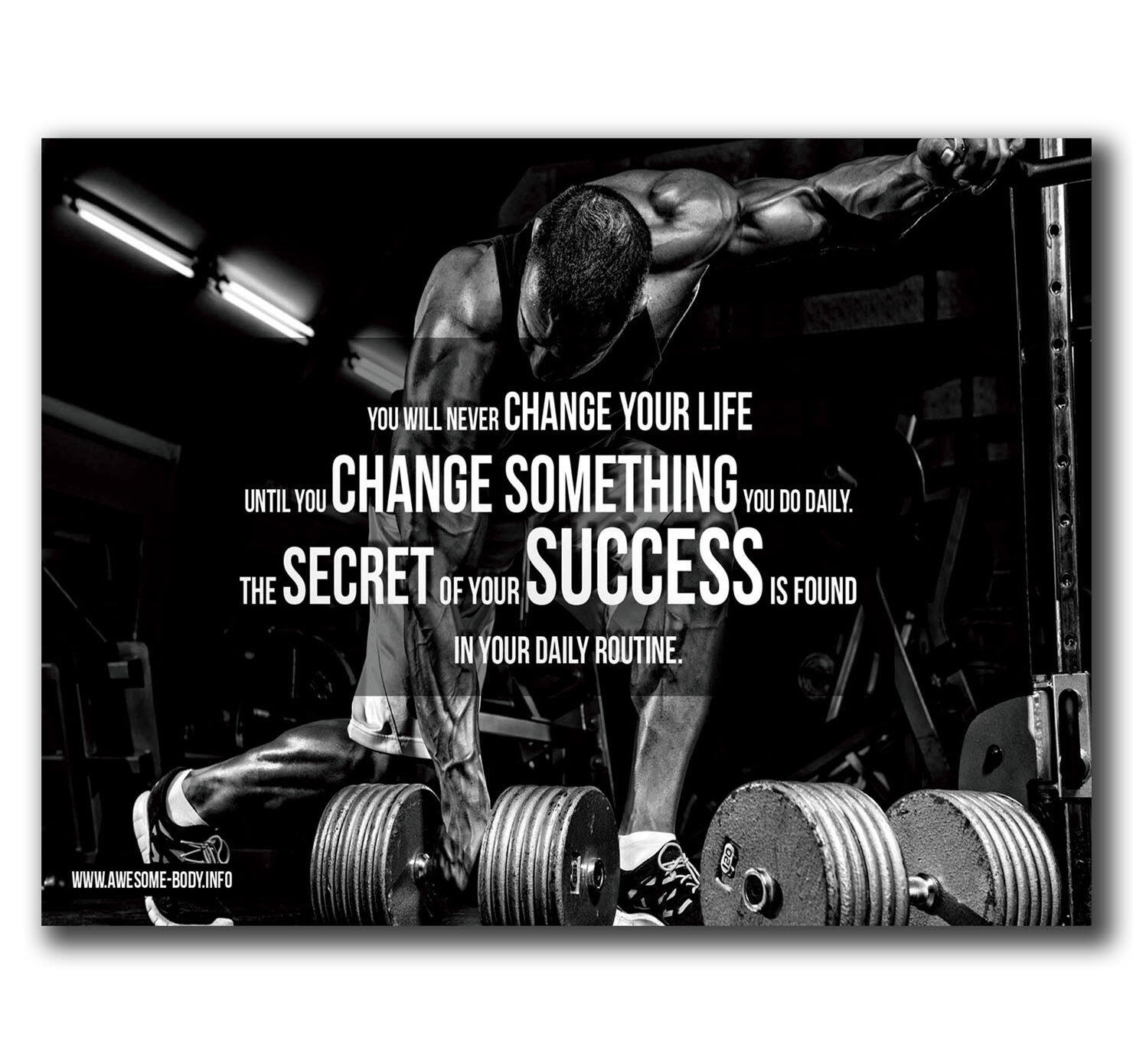 Crossfit Broscience Quotes Exercise Wall Art Motivational Poster Print