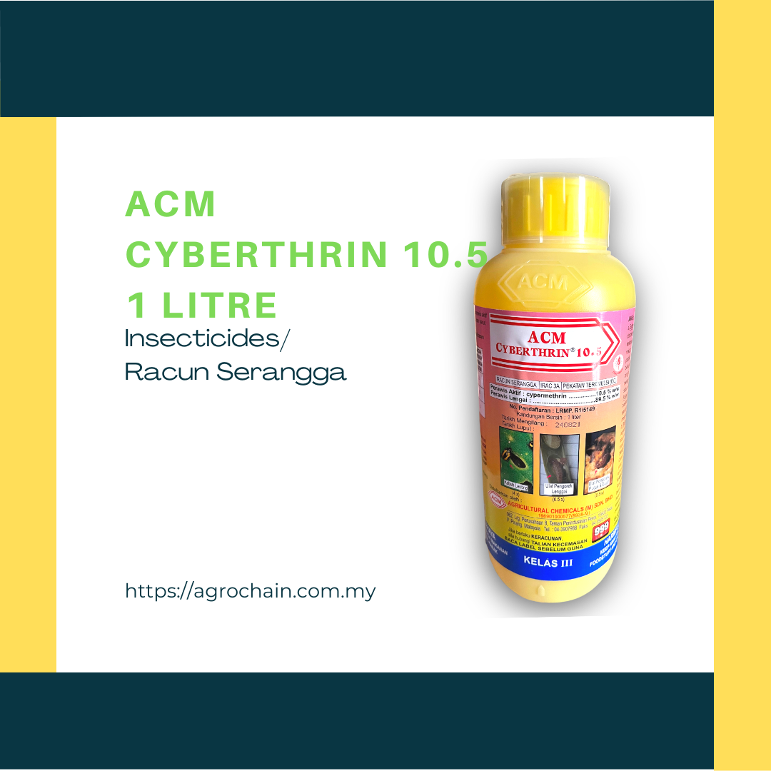 ACM - CYBERTHRIN 10.5 - 1 LITRE (RACUN SERANGGA /杀虫剂/INSECTICIDES) Lalat Buah,Ulat Pengorek Buak ...