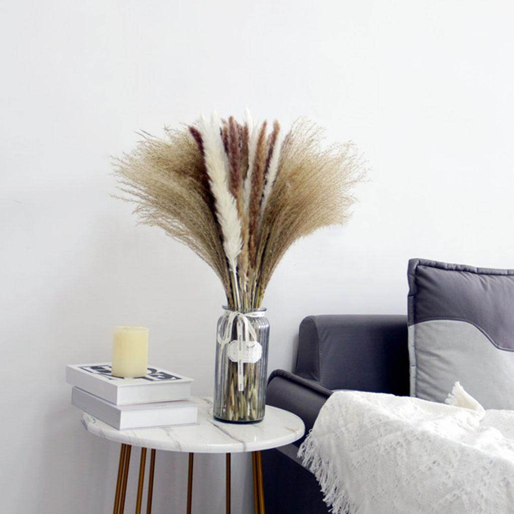 Blesiya Cỏ Pampas Khô Tự Nhiên Cỏ Trang Trí Nhà Cây Phragmites Sậy Boho ...