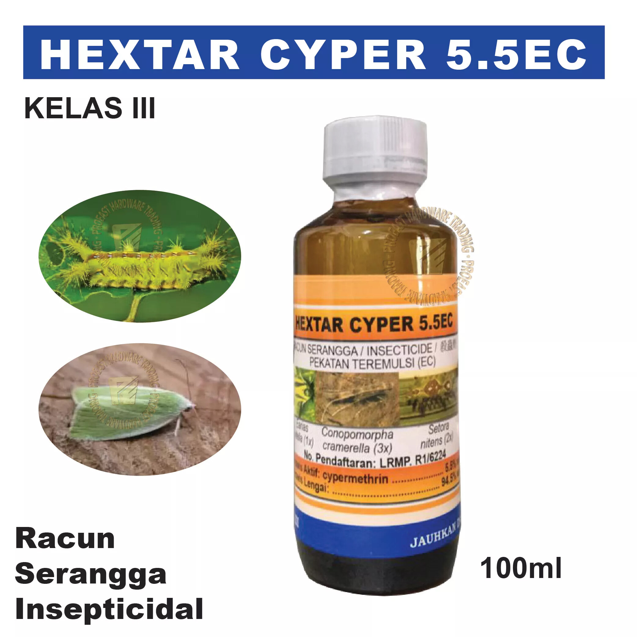 PLASBON 250 Termite Potion Racun Anai-anai Rayap Semut 100ml | Lazada