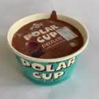 Polar Cup 120ml Ice Cream (Chocolate/Vanilla/Strawberry/Yam) - 20 cups ...