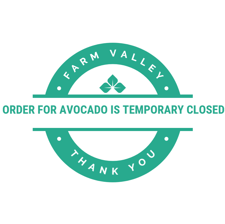 [Pre-Order] AVOCADO CAMERON/金马伦牛油果 1KG (ETA: 2022-12-17) | Lazada