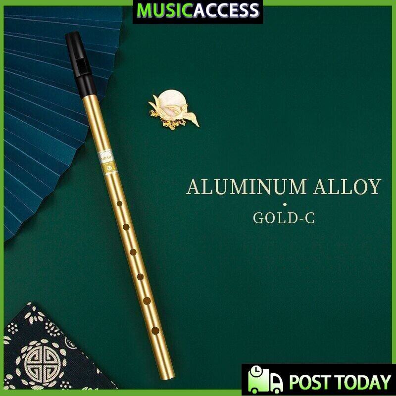 Irish Whistle Ireland Flute Feadog Tin whistle Key of C/D Pennywhistle ...