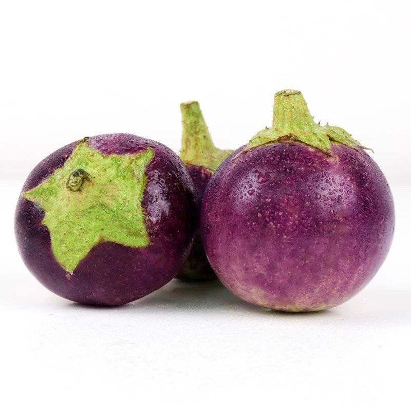 TERUNG BULAT / ROUND BRINJAL / 圆茄子 | Lazada