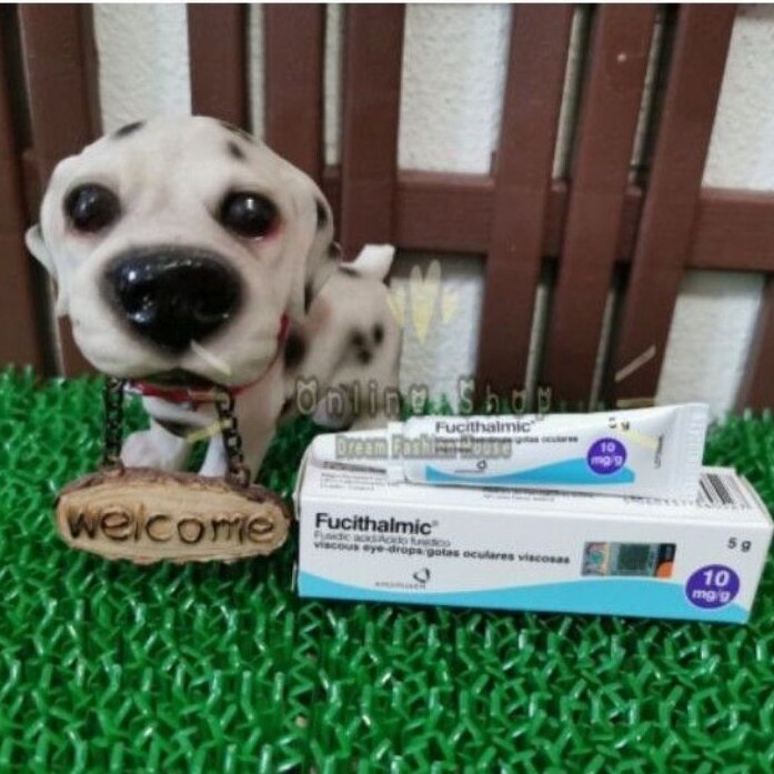 (READY STOCK)fucithalmic Viscous Eye Drop 5g | Lazada