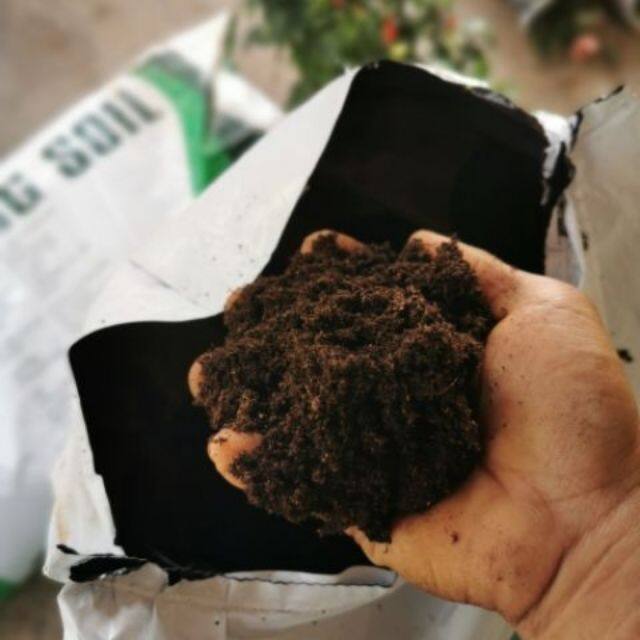 5KG FREEPEAT PEATMOSS TANAH HOLLAND TANAH SEMAIAN TERBAIK | Lazada