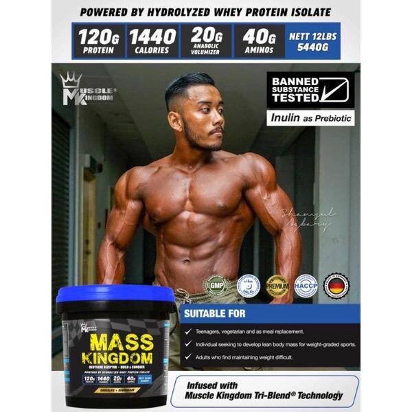 MK Mass Kingdom Mass Gainer Chocolate Flavor (12lb5.44kg) + { Free ...