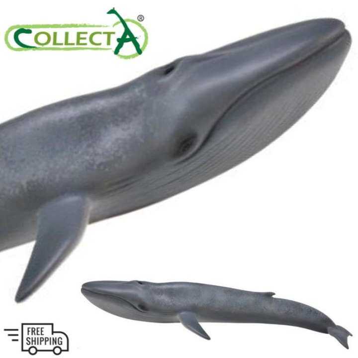 CollectA Wild Life Animals Ocean Minke Whale PVC Plastic Model Children ...