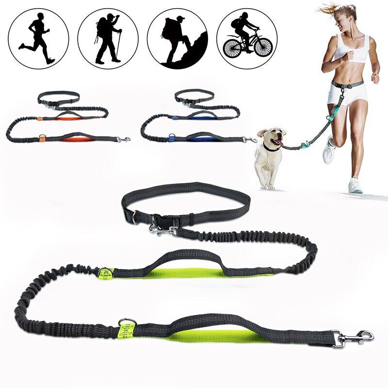 Pet Dog Cat Leash Traction Rope Reflective Adjustable Hand Free Dog ...