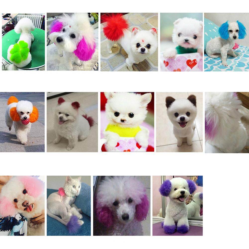 Dream80G Pet Dog Cat Animals Hair Coloring Dyestuffs Dyeing Pigment ...