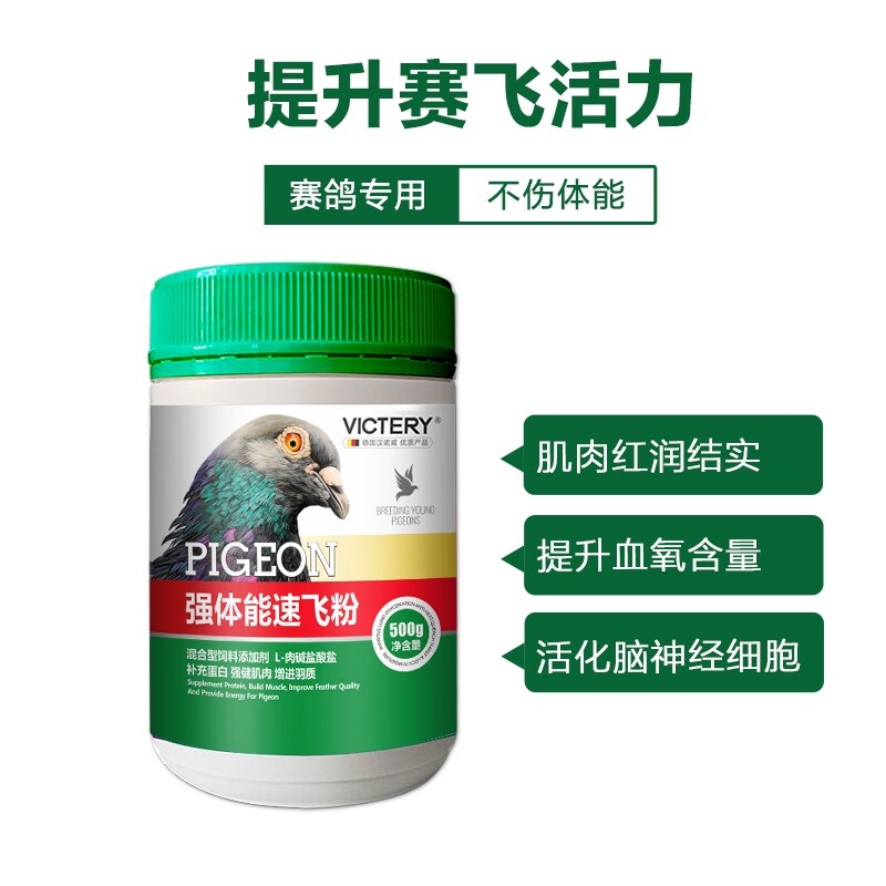 Pigeon supplementary recovery physical fitness competition training and ...