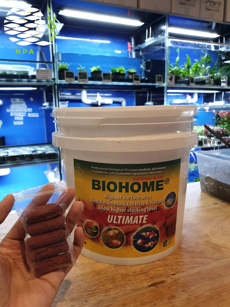 BIOHOME ULTIMATE (Repack/ 35g) | Lazada