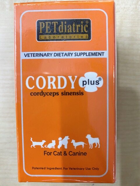 PETdiatric Cordy Plus Cordyceps Sinensis 30 tablets | Lazada
