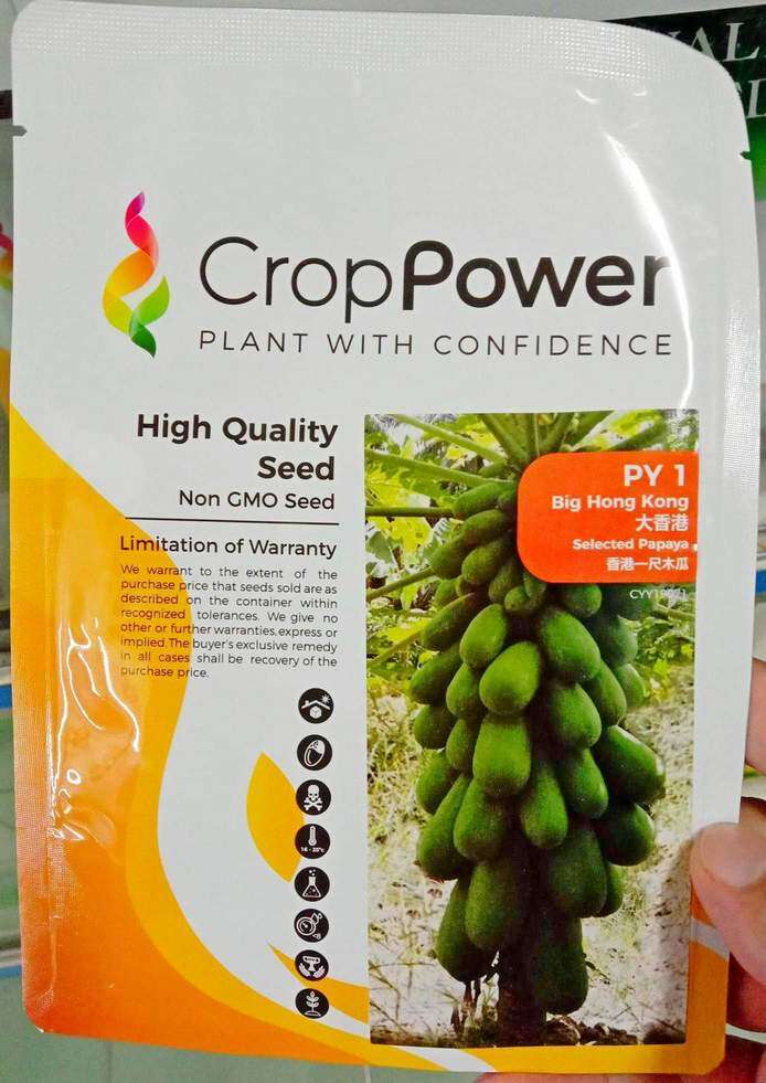 Benih Betik - Papaya Seeds Big Hong Kong PY1 (BETIK SEKAKI) CROP POWER ...