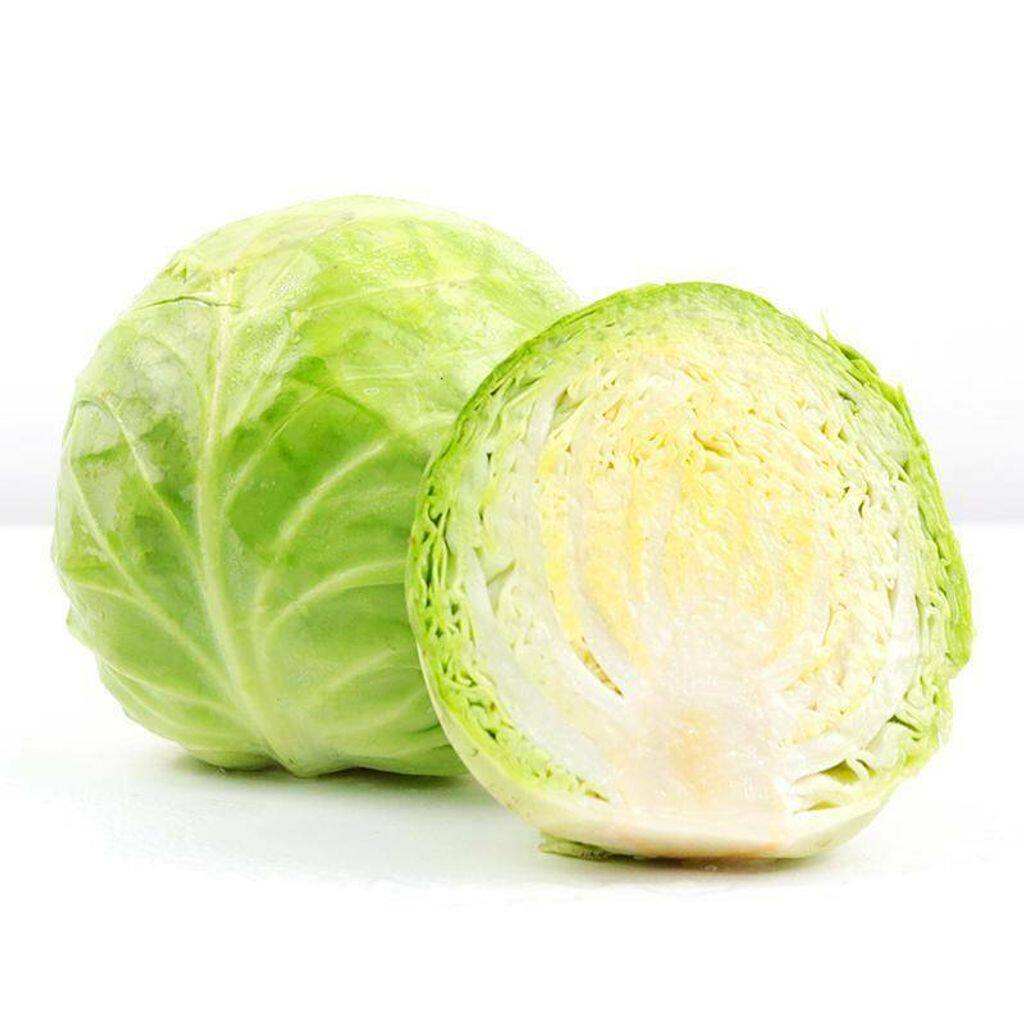 KOBIS BEIJING / BEIJING CABBAGE / 北京包菜 | Lazada