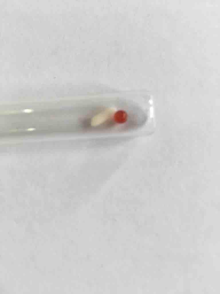 Geliga Merah Bara lipan Asli | Lazada