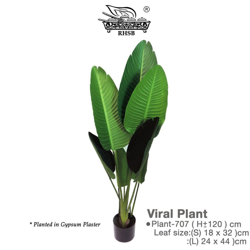 PREMIUM SKYBIRD HOME DECOR / POKOK HIASAN VIRAL / POKOK PISANG ...