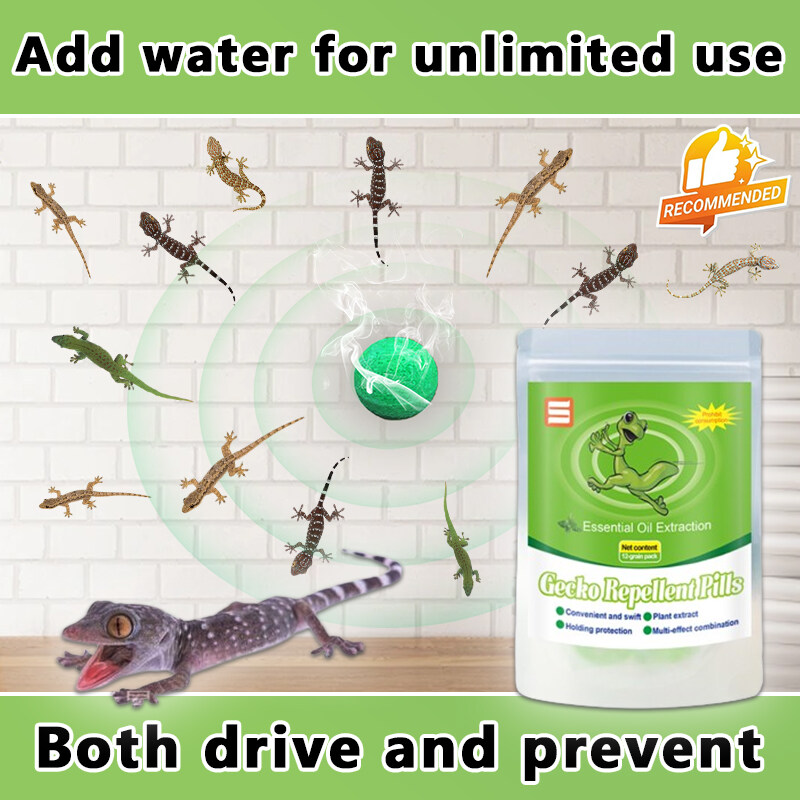 【100% lizard go away】MN Lizard repellent gecko repellent Lizard killer ...