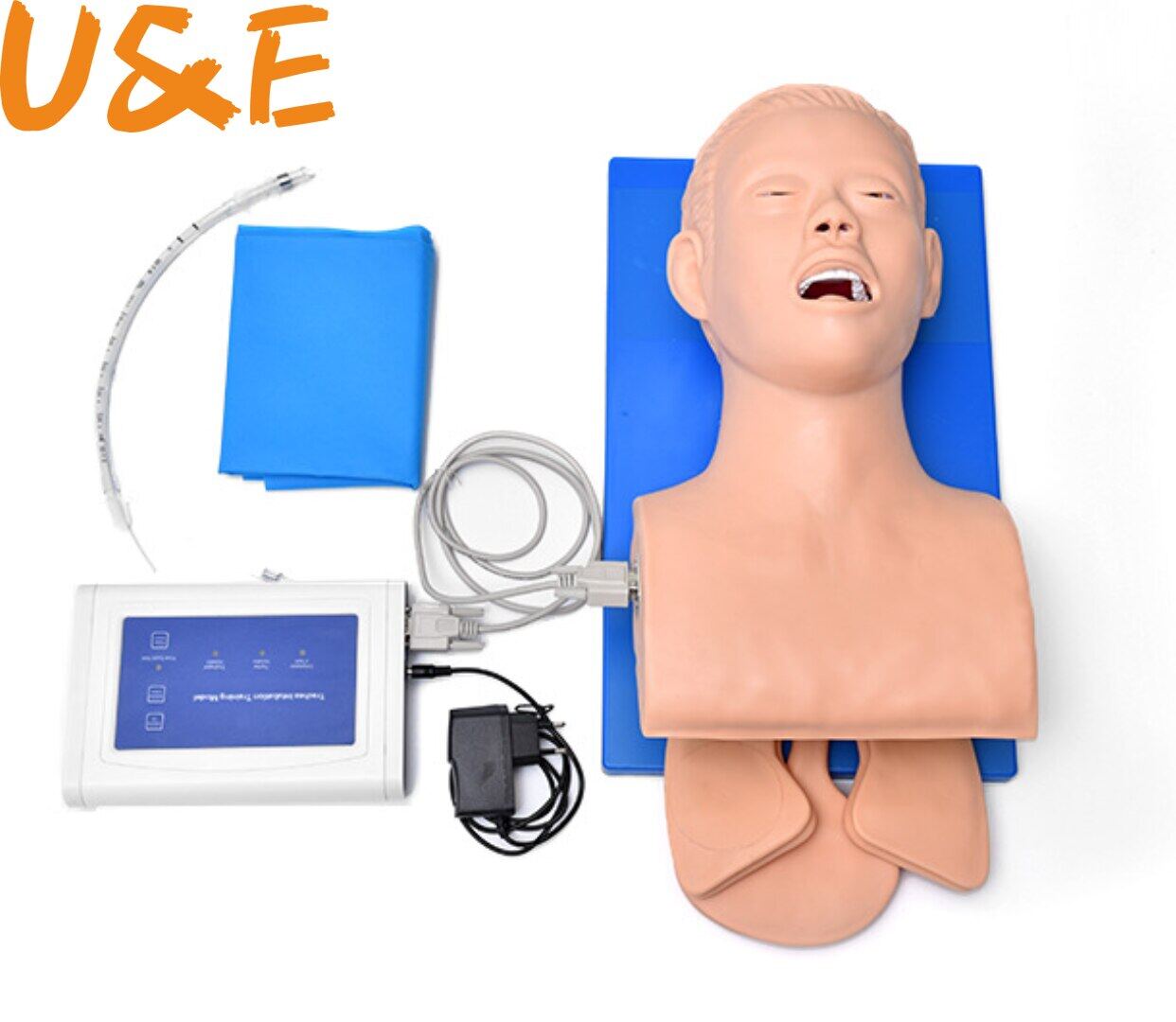 Training dummy Medical teaching Nursing skills Human Tracheal ...