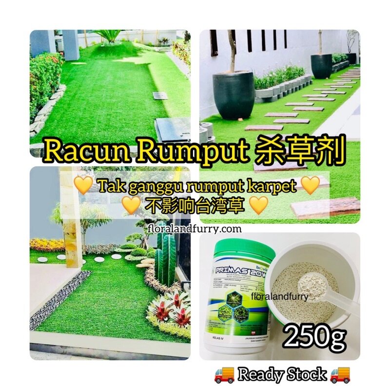 Primas 20WG 250g Racun Rumput Karpet Racun Rumpai Liar Daun Bulat Daun ...