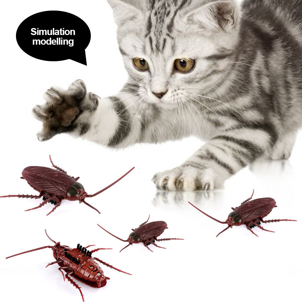 BC Simulated Cockroach Toy Cat Electric Vibration Cockroach Toys Pet Kitten Interactive Toys ...