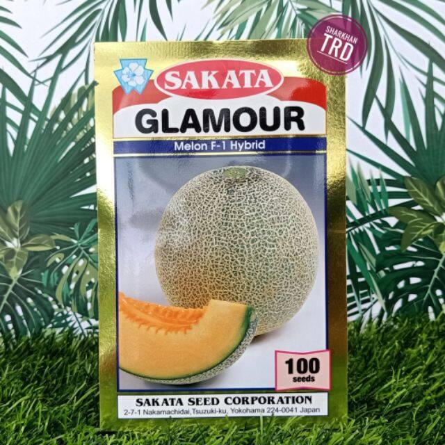 ♨Paket 100 Seeds GLAMOUR Sakata Seed Corporation Japan Biji Benih ...